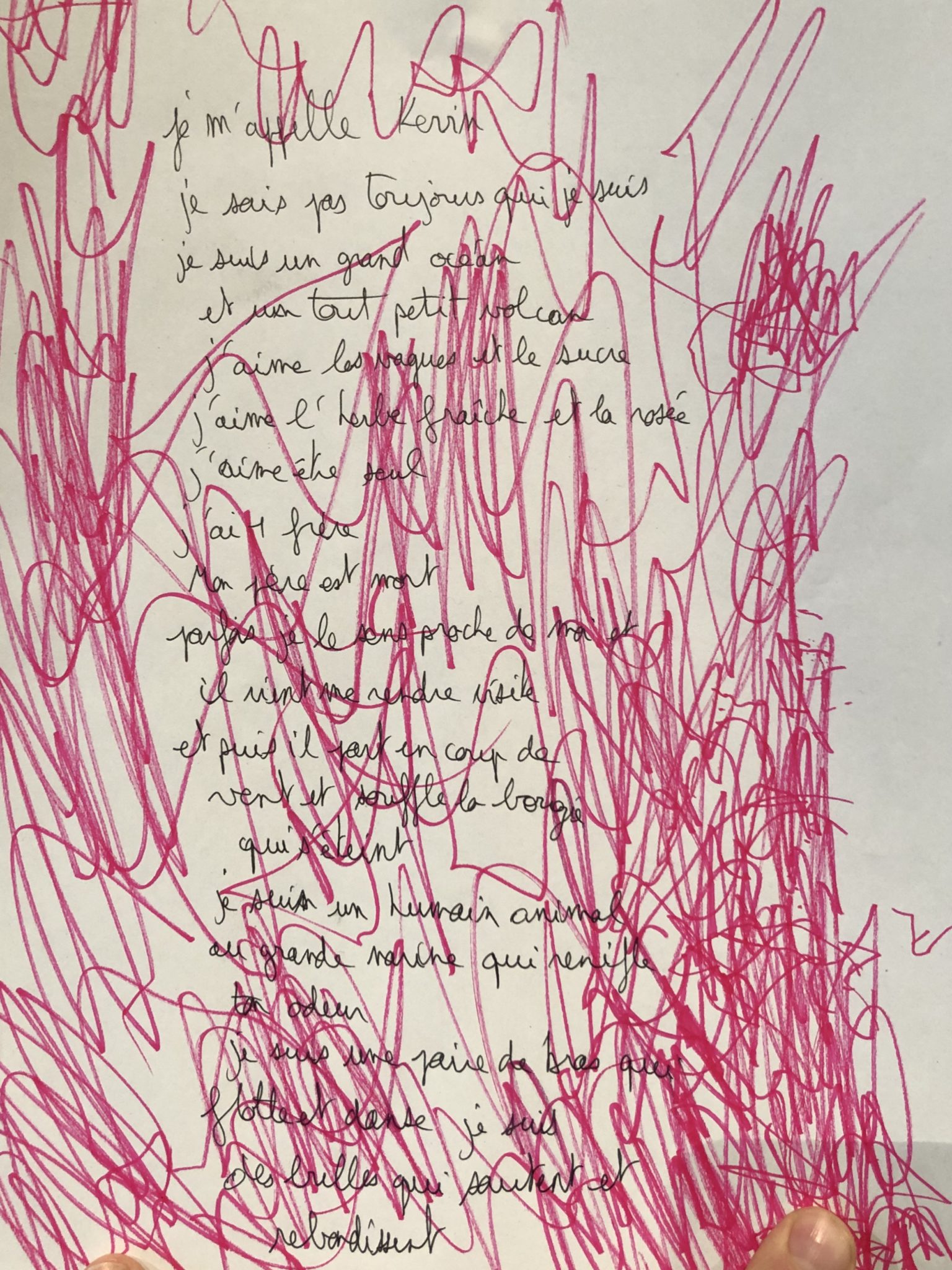 IME Jean Marc Itard - La Fronde